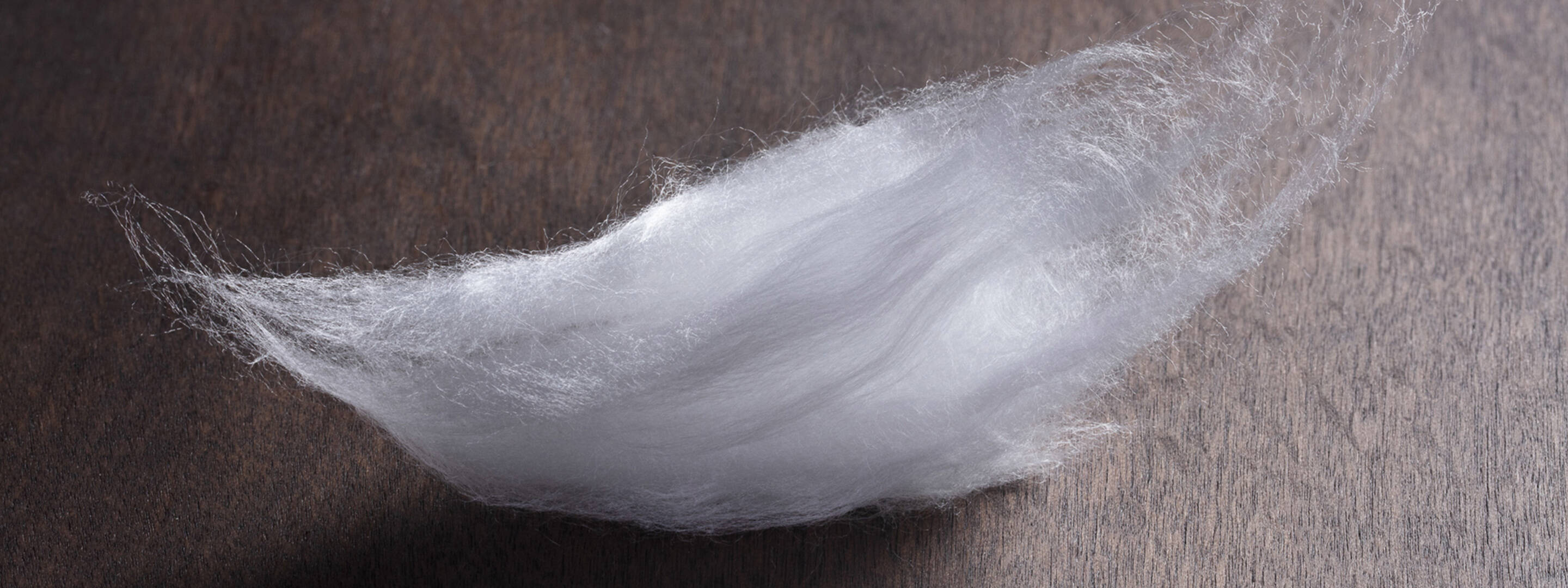 Man-Made Cellulosic Fibers (MMCFs) - Patagonia