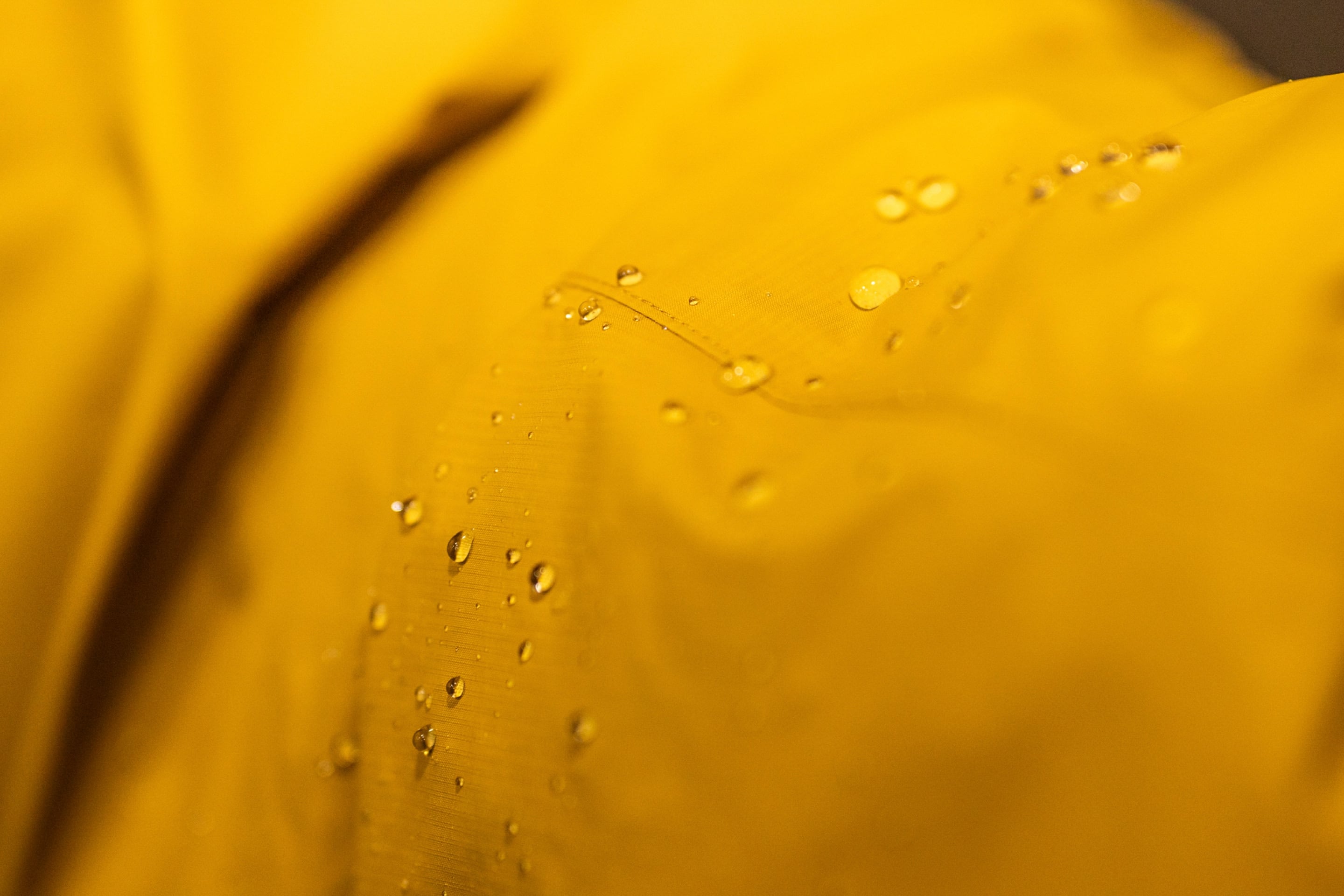 Product Guides Stories - Patagonia